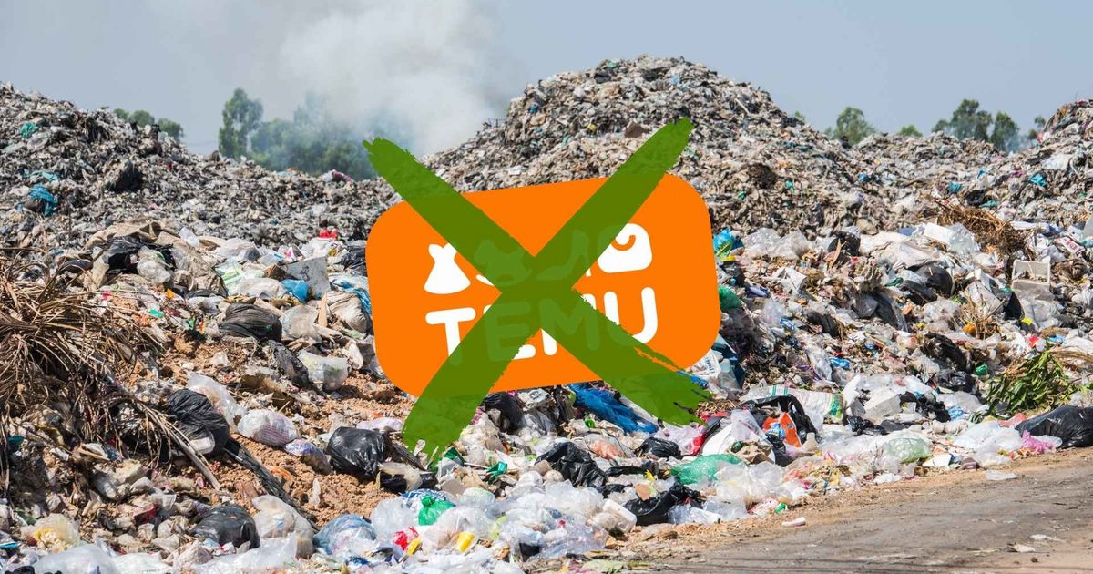 Forby Temu nå – nei til giftige varer og tvangsarbeid - MDG